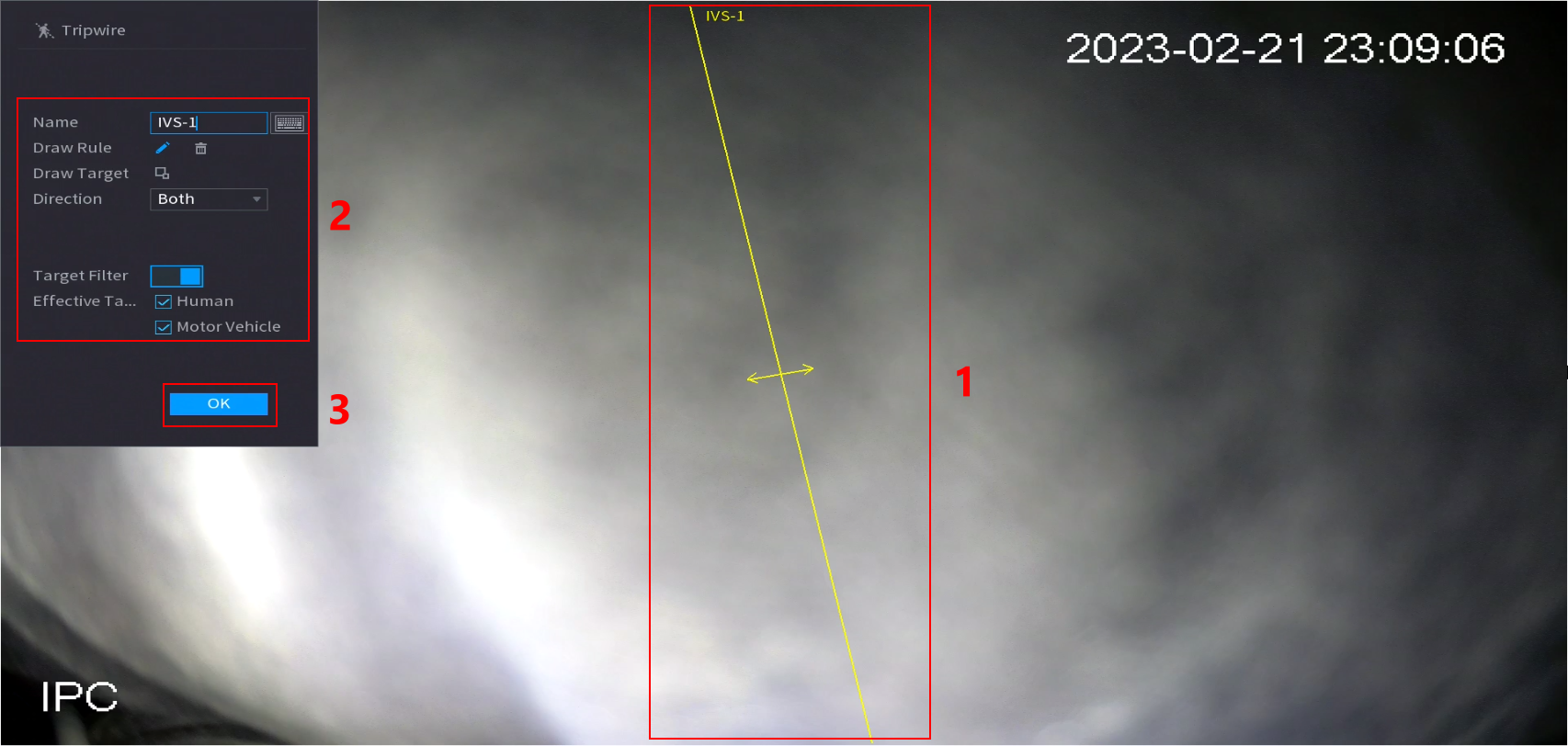 How to set the IVS function from NVR video output (AI by camera ...